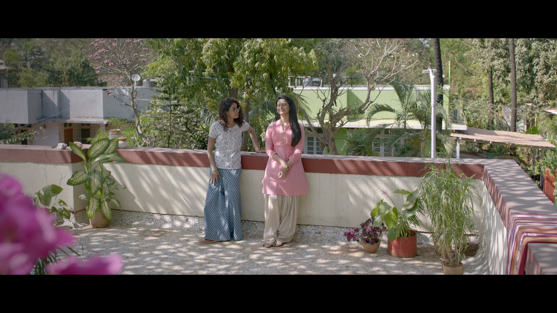 Avanse - Milkshake Media Milkshake Media